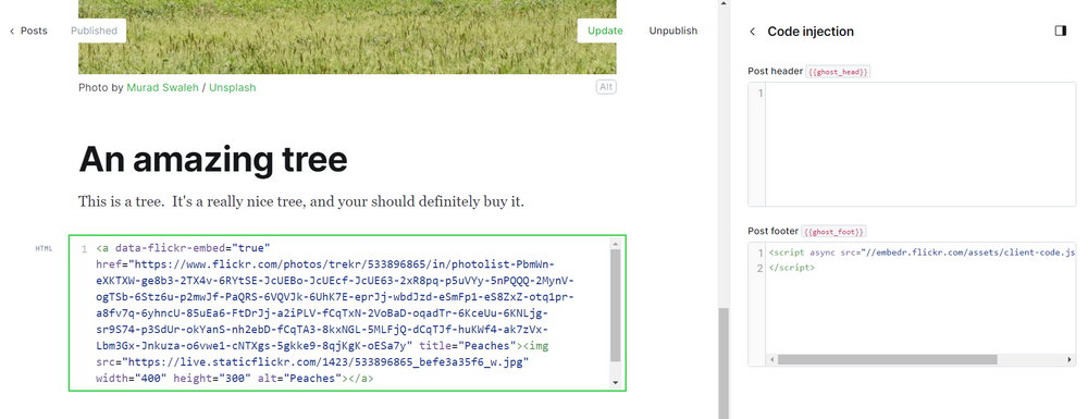 How to embed a Flikr photo in Ghost