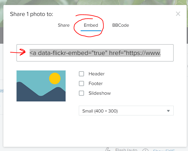 How to embed a Flikr photo in Ghost